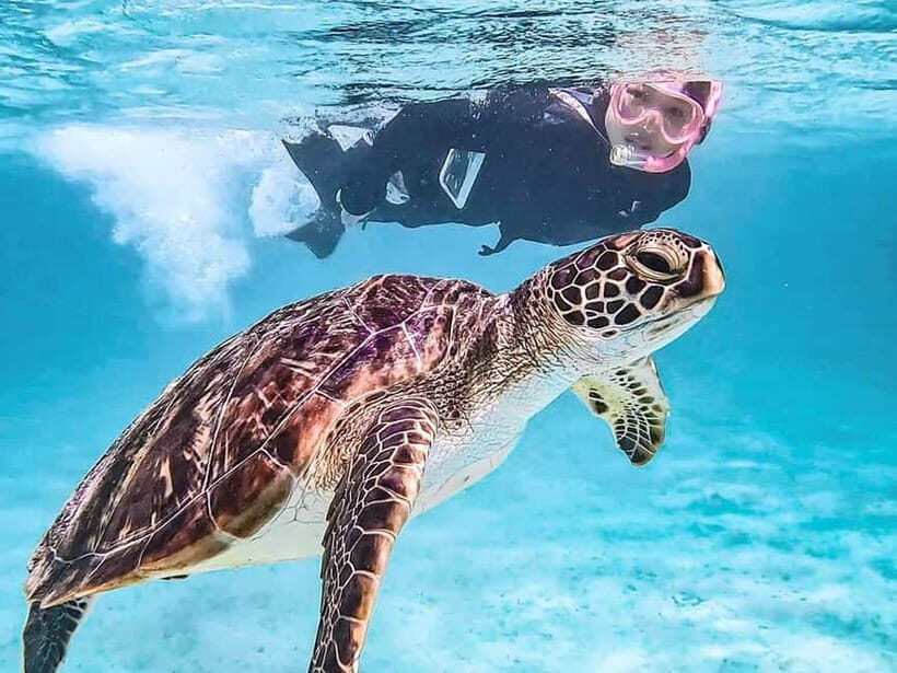 Miyakojima: SUP and Snorkeling- Two Activities in One Day - Final Thoughts