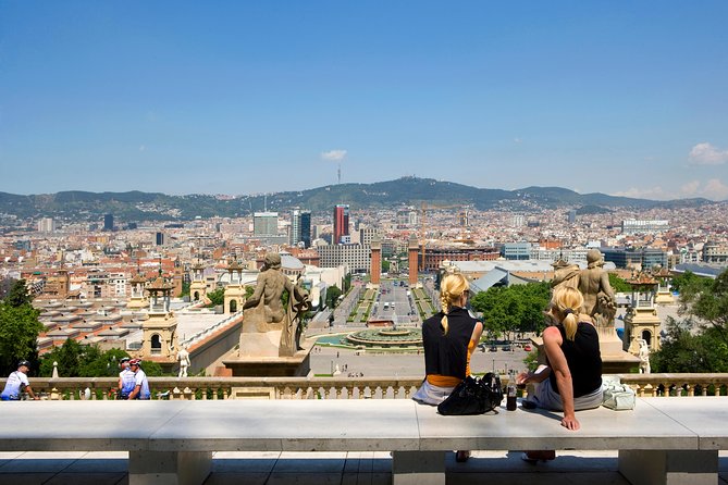 MNAC: National Art Museum of Catalonia Entrance Ticket - Museum Layout and Collections