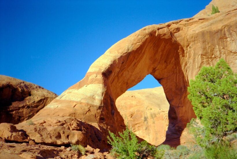 Moab: Backcountry Arches Helicopter Tour - Who Should Consider This Tour?