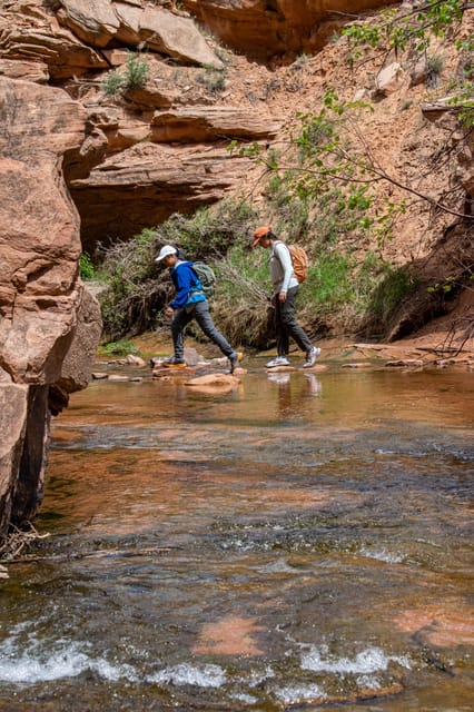 Moab: Fins and Things Canyoneering Adventure tour - Key Points