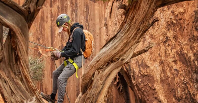 Moab: Fins and Things Canyoneering Adventure tour - What the Tour Includes