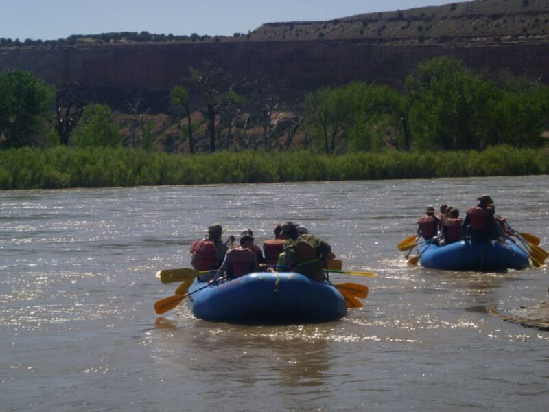 Moab: Full-Day Colorado Rafting Tour - What to Expect at Each Stage