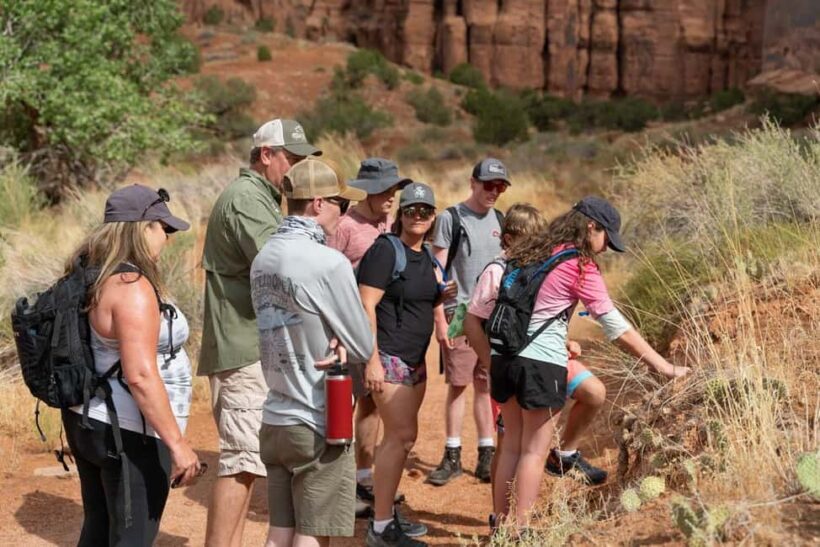 Moab Half Day Jeep Tour - Introduction