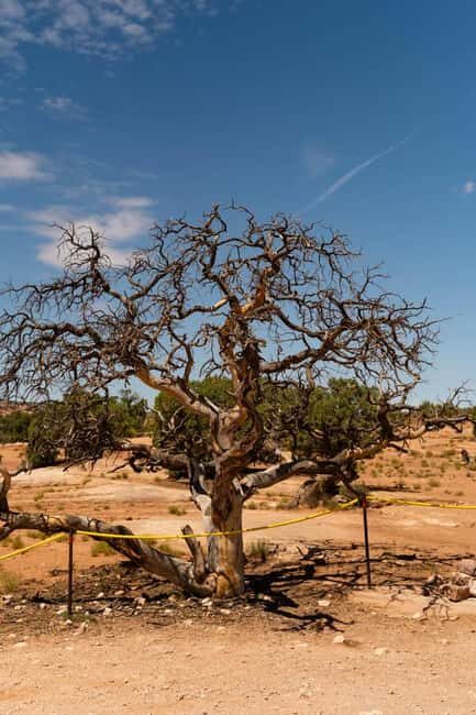 Moab Half Day Jeep Tour - The Experience and What You Can Expect