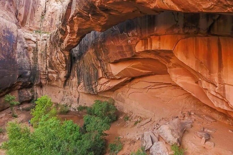 Moab: Morning Glory Arch Canyoneering Adventure - Who Will Love This Tour?