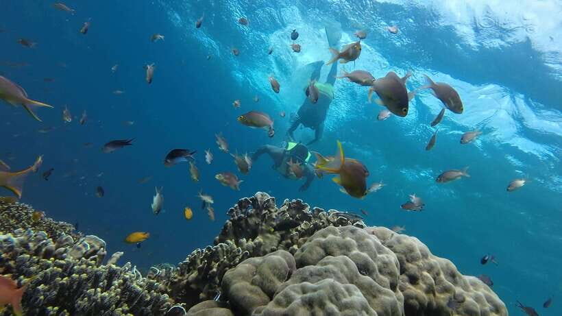 Moalboal: Pescador Island Hopping & Kawasan Canyoneering - Final Thoughts