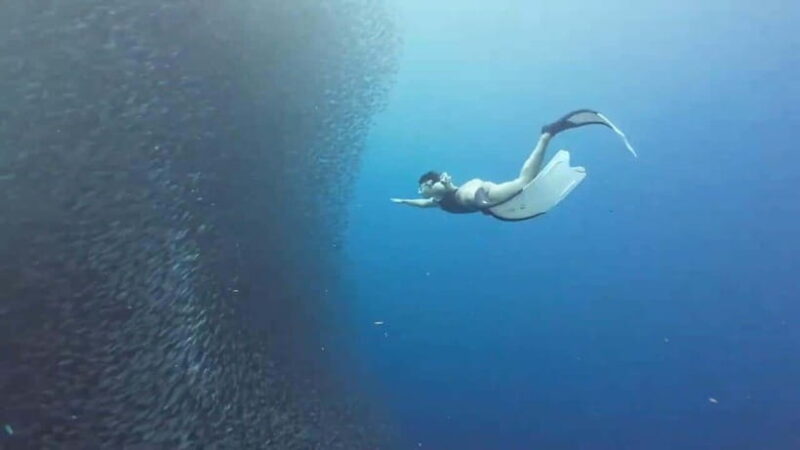 Moalboal: Pescador Island & Mantayupan Falls Adventure! - Who Is This Tour Best For?