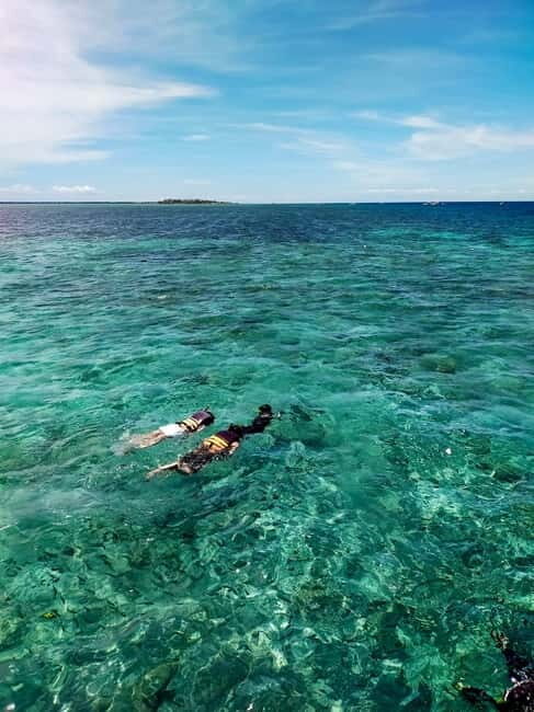 Moalboal: Private Beginner's Canyoning and Sardines & Turtle - Key Points