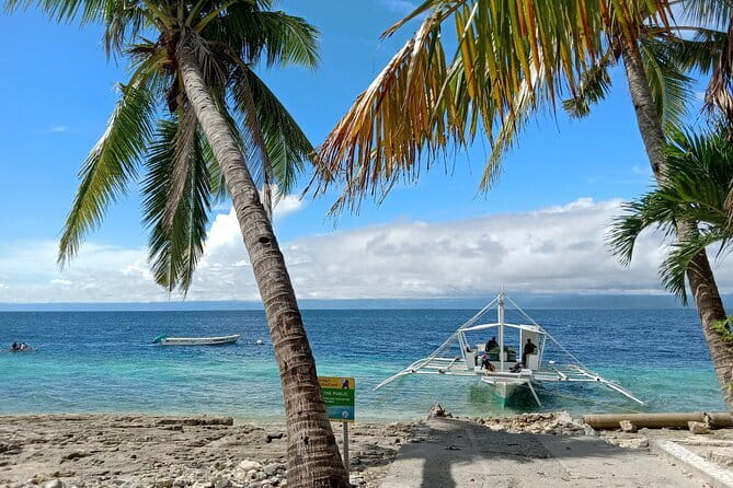 Moalboal Sardine Run, Sea Turtle and Mantayupan Falls - Additional Considerations