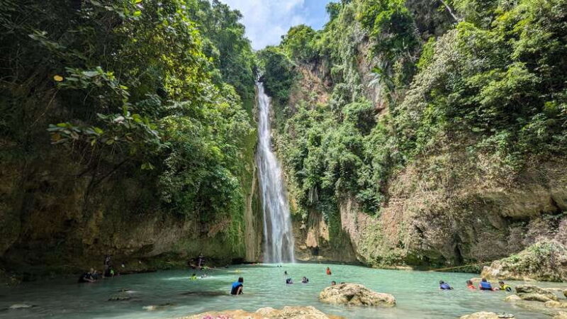 Moalboal Sardine Run, Sea Turtle & Mantayupan Falls - Key Points