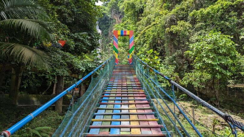 Moalboal Sardine Run, Sea Turtle & Mantayupan Falls - Whats Included and Whats Not