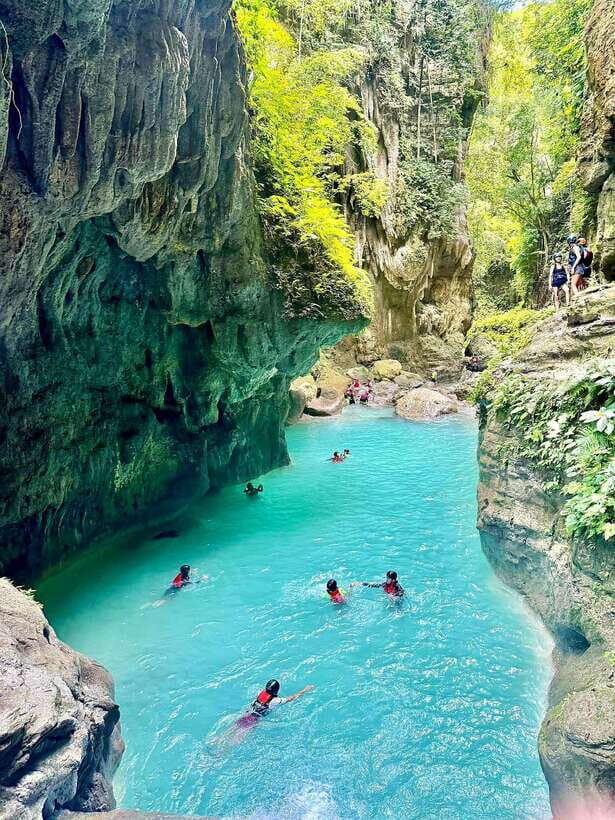 Moalboal: Sardine Run Snorkeling & Kawasan Canyoneering - The Sum Up