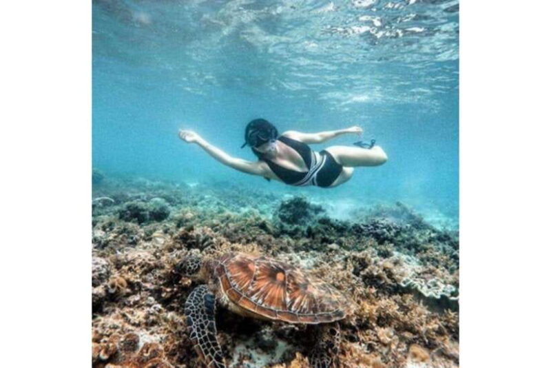 Moalboal : Scuba Diving Sardine Run and Turtle Chasing - FAQs About the Tour