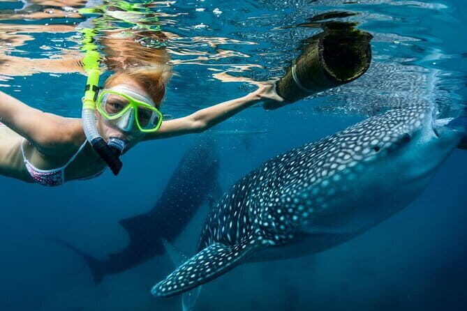 Moalboal Snorkeling, Kawasan Canyoneering with Zipline and Lunch - Kawasan Canyoneering, Zipline & Natural Water Slides