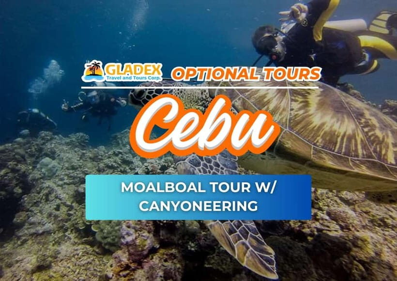 Moalboal Tour with Canyoneering - Why This Tour Is Worth It