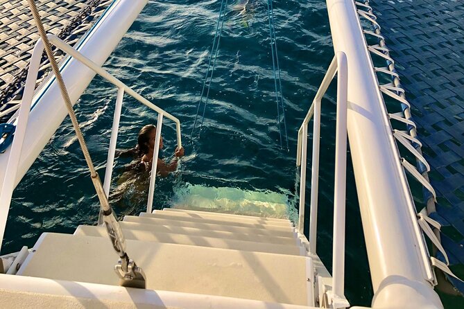 Moana's Swim'n'Sail Cocktail Cruise Along the Waikiki Coast - Key Factors to Consider When Booking the Tour