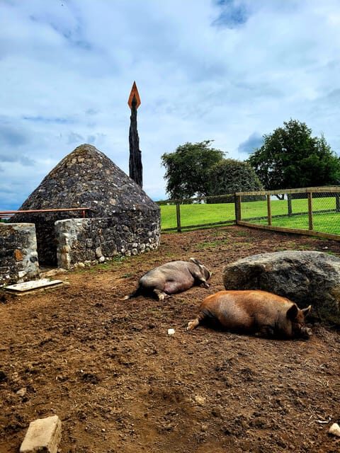 Moate: Dún na Sí Amenity & Heritage Park Admission Ticket - A Detailed Look at the Heritage Park Experience