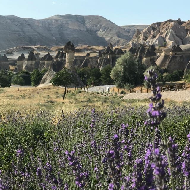 Mochiron Tour Full day Cappadocia With Japanese Guide - Why This Tour Works Well