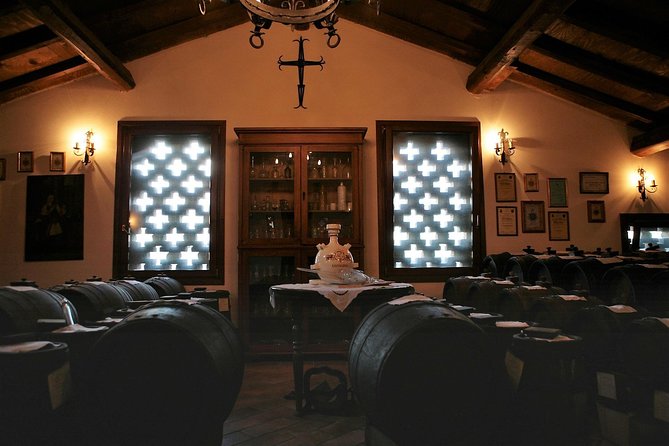 Modena area: Balsamic Vinegar Aceto Tasting Experience - Key Points
