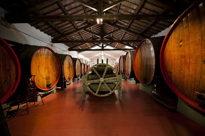 Modena area: Lambrusco Wine Tasting Experience - Key Points