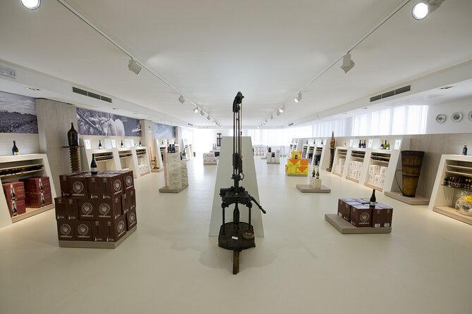 Modena area: Lambrusco Wine Tasting Experience - Authenticity and Value