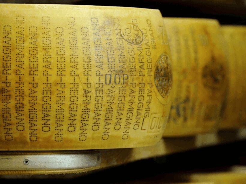Modena Food Tour: Sightseeing & Taste - Discovering Modena: A Food and Sightseeing Tour Worth Savoring