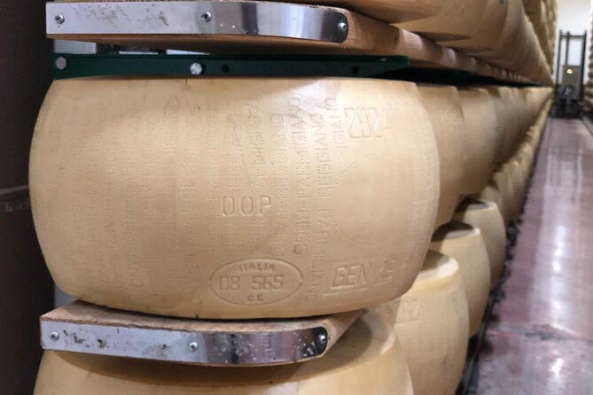 Modena Food:Prosciutto,Parmigiano,Balsamic,Wine,Lunch,Transport - Wine Tasting Experience in Modena