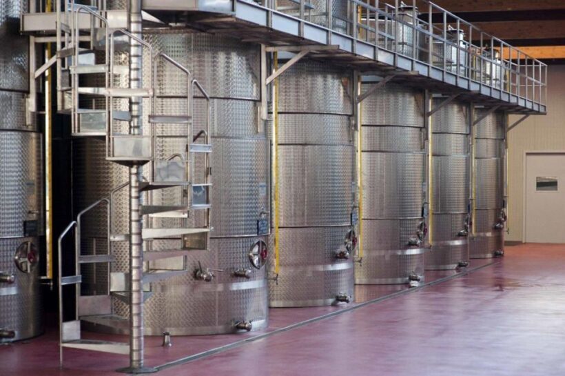 Modena: Lambrusco Wine Tasting and Cellar Tour - A Deeper Look at the Lambrusco Tour in Modena