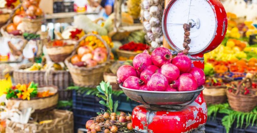 Modena: Market & Lunch/Dinner at a Local's Home - Modena: Market & Lunch/Dinner at a Locals Home — A deep dive into authentic Emilia-Romagna flavors