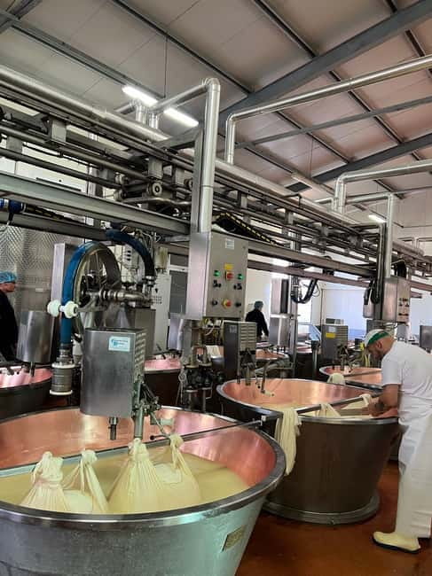 Modena: Parmesan, Balsamic Vinegar, Wine Tour + Lunch - Key Points