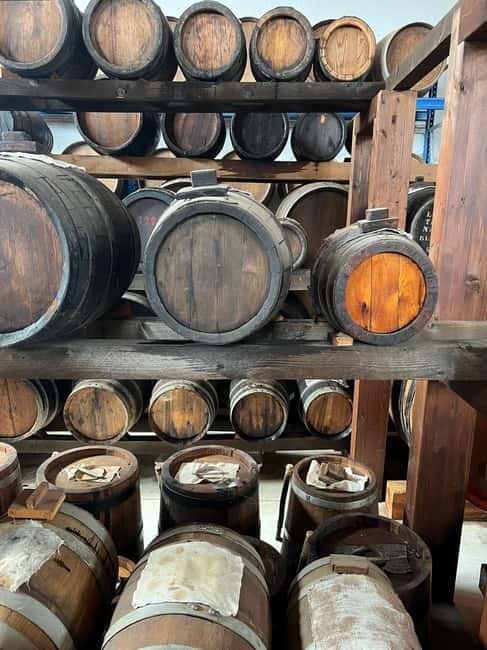 Modena: Parmesan, Balsamic Vinegar, Wine Tour + Lunch - Final Thoughts