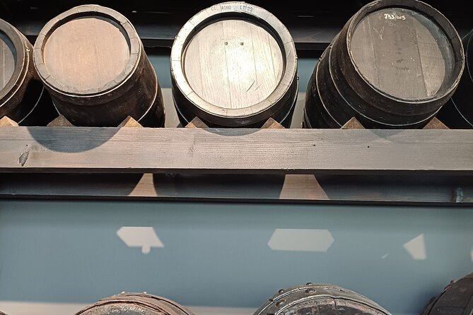 Modena walking food tour with a local - Practical details and tips