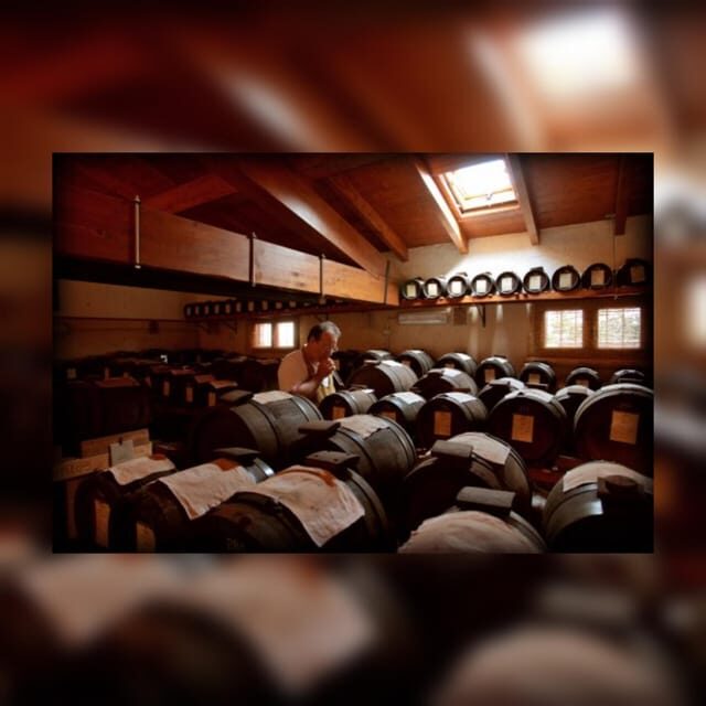 Modena:Tour&Taste of Bio & Traditional Balsamic Vinegar DOP - An In-Depth Look at the Modena Balsamic Experience