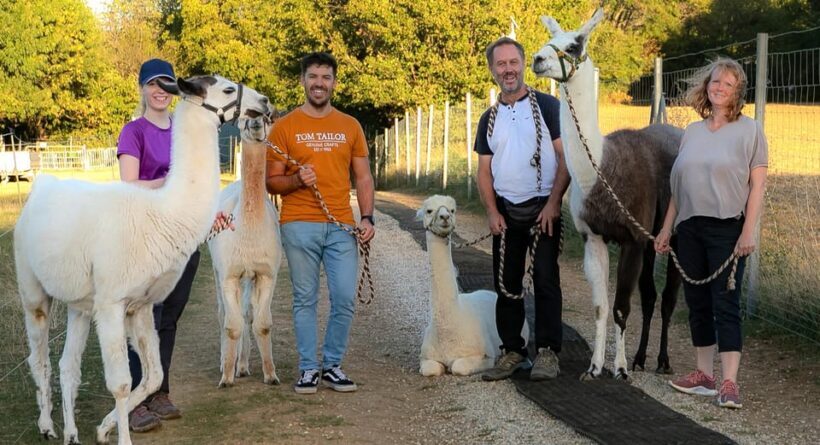 Mödling/Vienna: Scenic Guided Hike with Alpacas and Llamas - FAQ