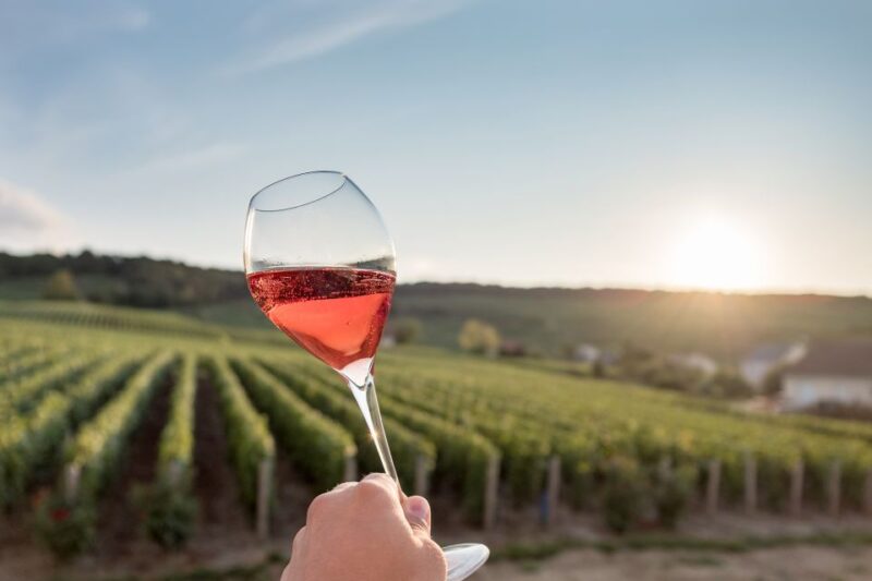 Moet et Chandon Tasting and Fun Private Tour in Champagne - Practical Tips for Travelers