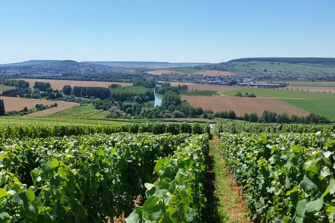 Moet Et Chandon Tasting and Fun Private Tour in Champagne - Inclusions and What to Expect