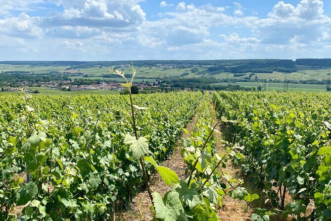 Moet et Chandon Veuve Clicquot Private Champagne trip from Paris - Final Thoughts