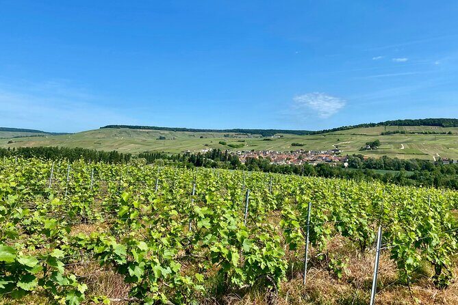 Moet et Chandon Veuve Clicquot Private Champagne trip from Paris - FAQ