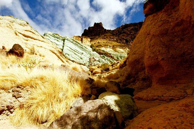 Mogán, La Aldea, Las Canteras - Big Island Tour Gran Canaria - About Your Stay