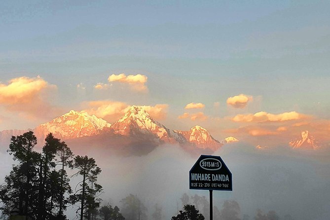 Mohare Danda Trek - Who Will Love This Trek?