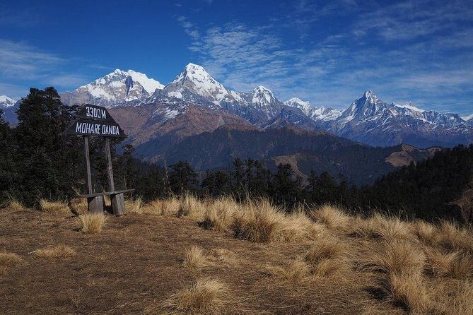 Mohare Hill Private Guided Trek - Introducing the Mohare Hill Private Guided Trek