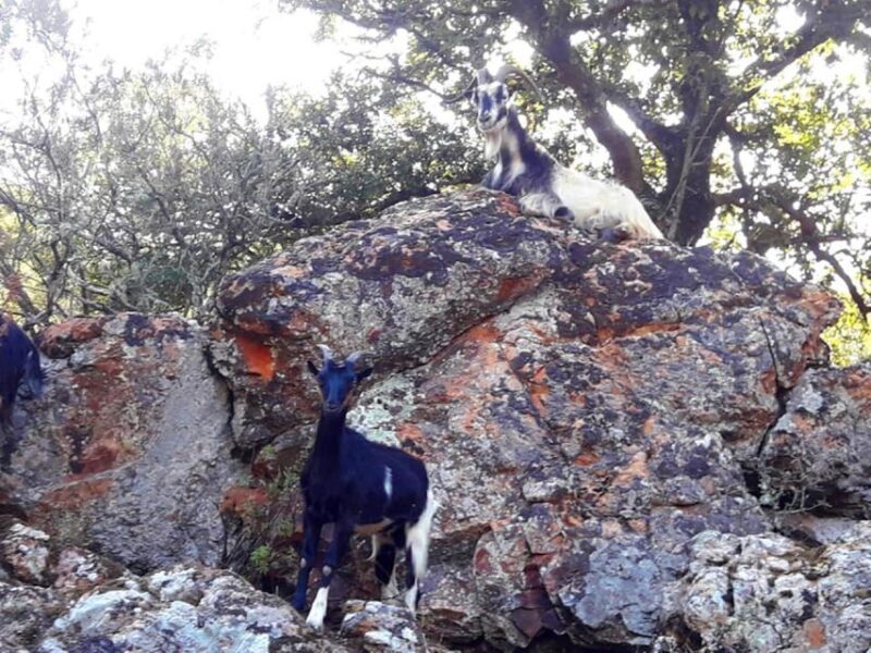 Moitié Terre, Moitié Mer - The Experience: What You Can Expect