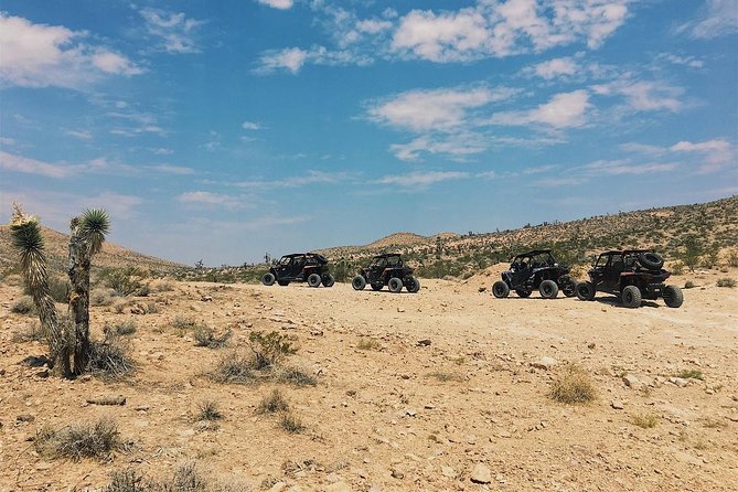 Mojave Desert Off Road RZR Tour in Las Vegas - The Value of the Experience