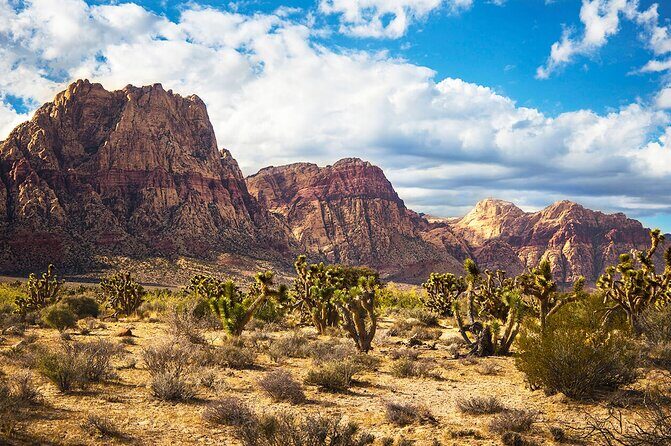 Mojave Desert, Red Rock Sign, Seven Magic Mts - Who Will Enjoy This Tour?