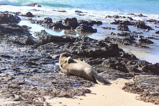 Mokulua Islands Self-Guided Kayak Adventure - FAQ