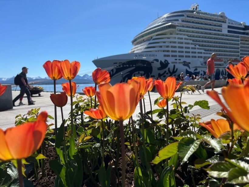 Molde: 2-Hour Guided City Walking Tour - Final Thoughts: Who Should Sign Up?