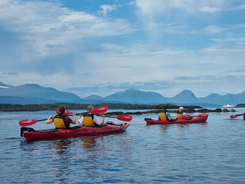 Molde - Guided kayak tour - Who Should Consider This Tour?