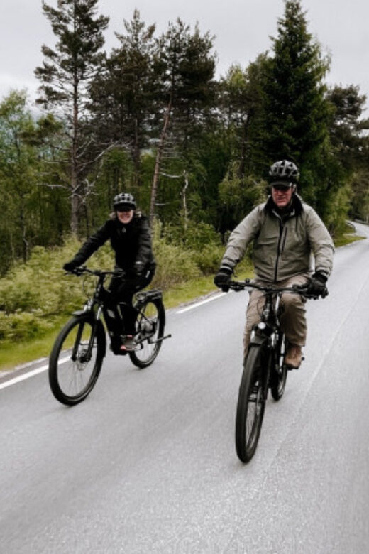 Molde: Highlights of Molde Guided Tour by e-Bike - The Sum Up