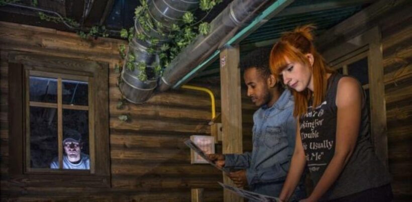 Molde: Serial Killer Escape Room Game - Key Points