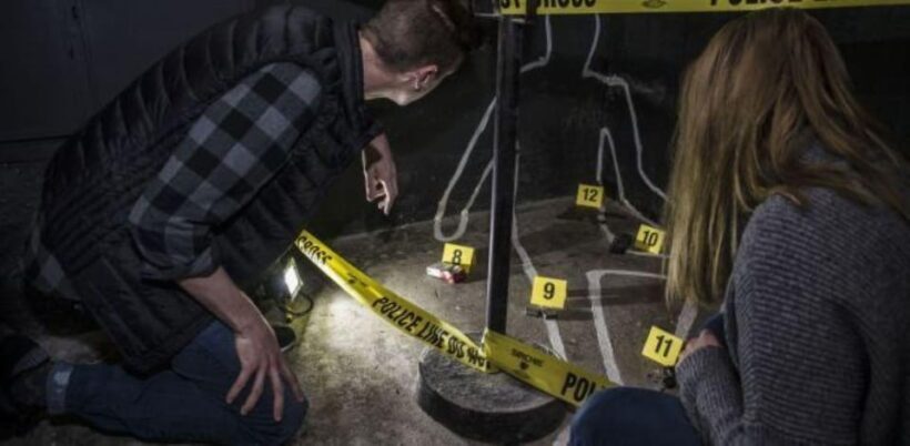 Molde: Serial Killer Escape Room Game - The Value of This Experience